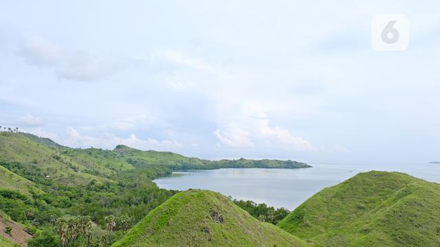 Berburu Panorama Labuan Bajo dari Ketinggian di Bukit Sylvia ...