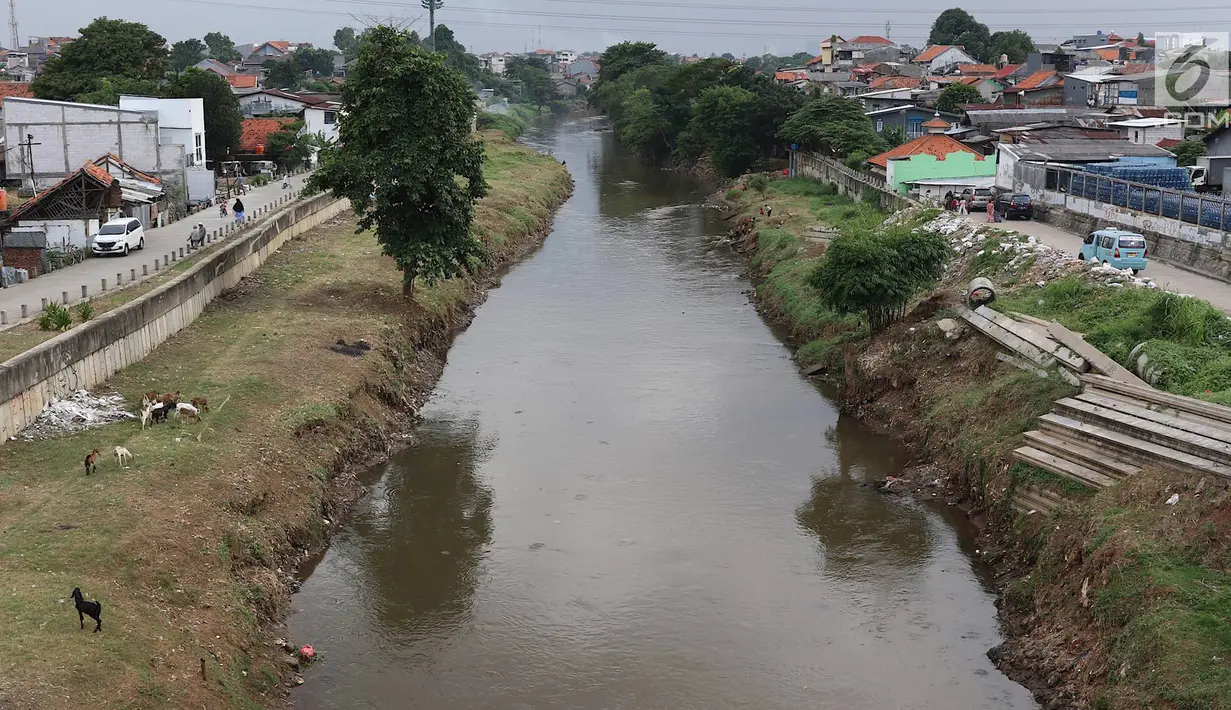 FOTO: Pembebasan Lahan Normalisasi Kali Ciliwung Ditarget Tuntas Tahun Ini - Foto Liputan6.com