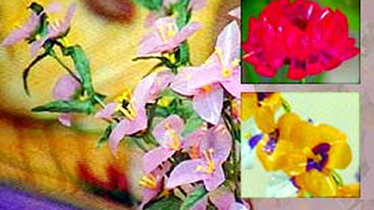 Bunga Sedotan yang Memikat - News Liputan6.com