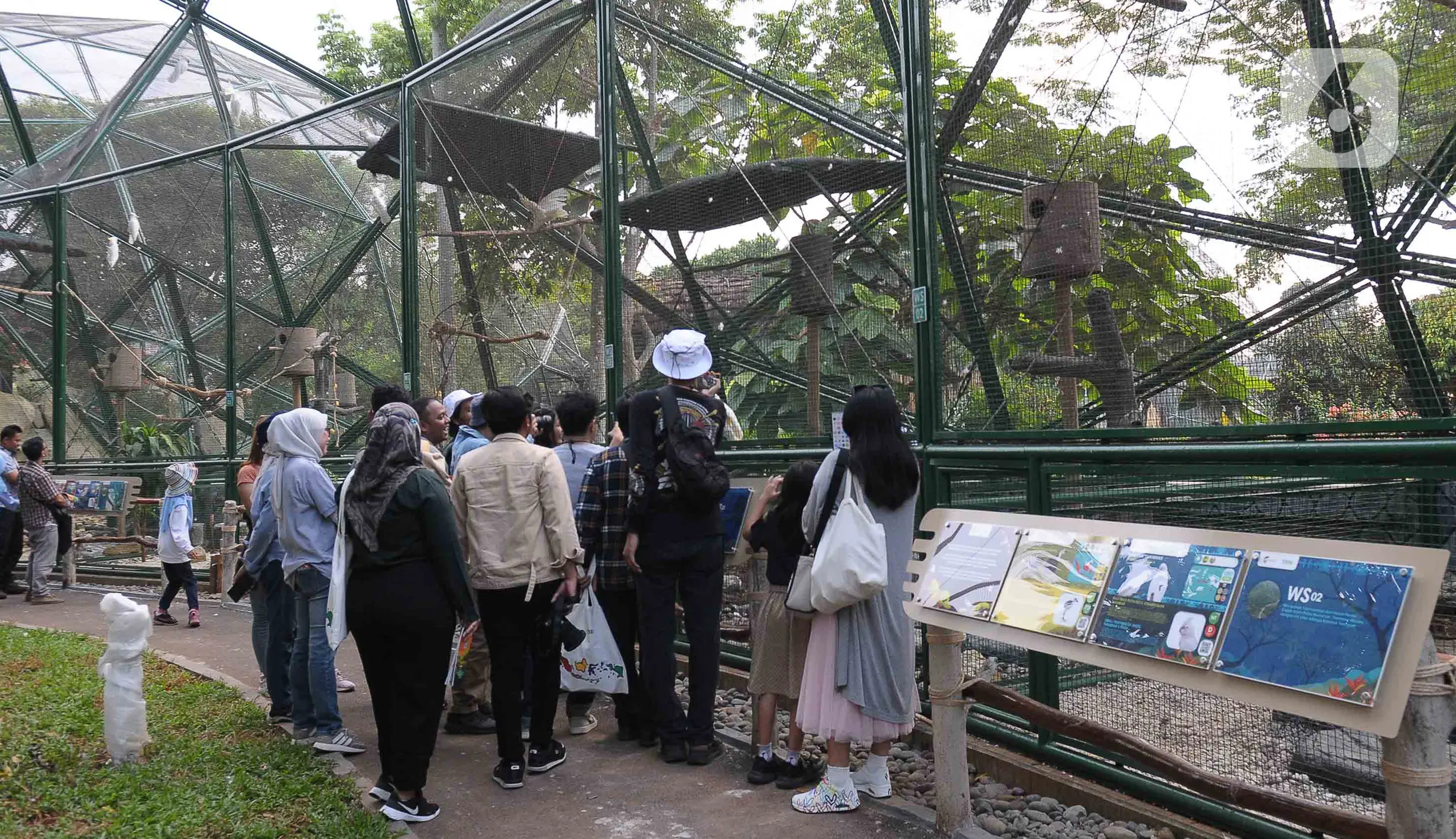 Mengunjungi Taman Burung TMII Jagat Satwa Nusantara - Foto Liputan6.com