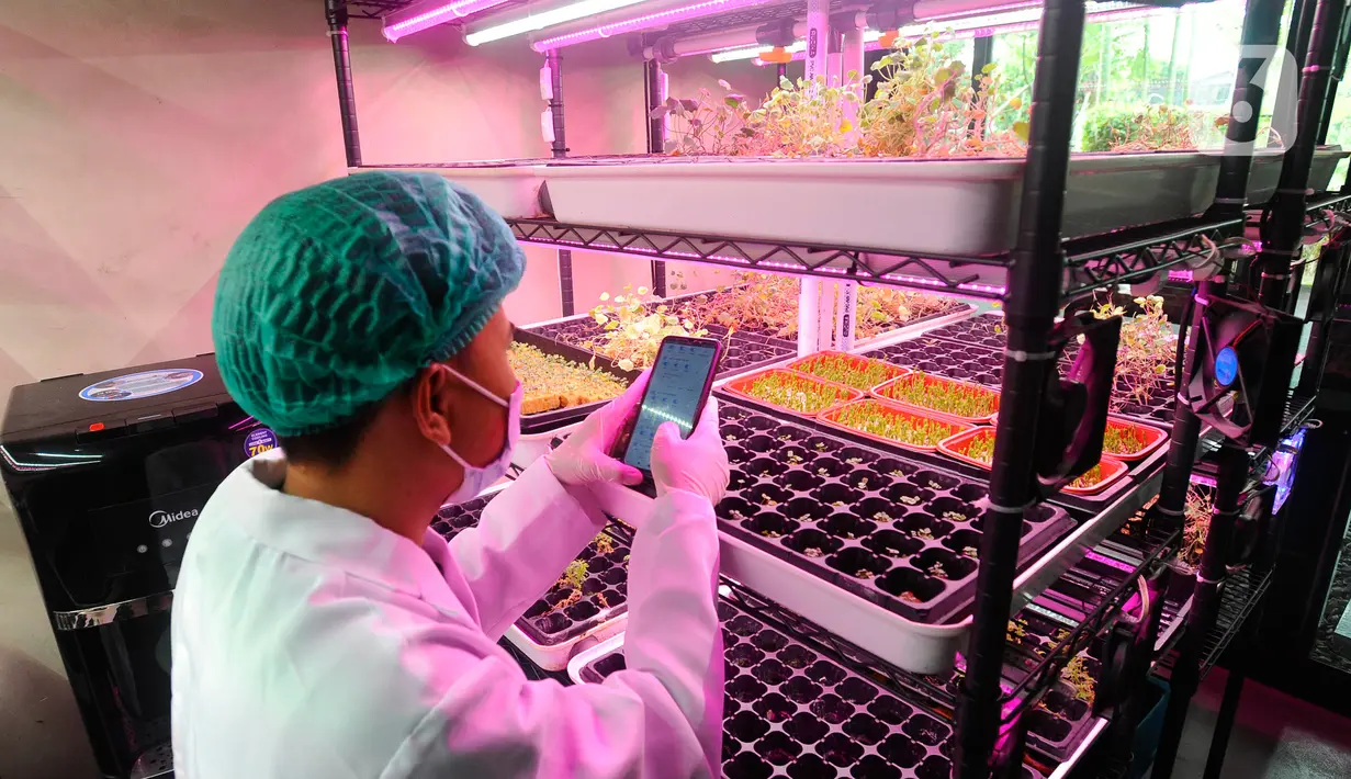 Unik, Kafe di Tangerang Selatan Hadirkan Pertanian Dalam Ruangan - Foto ...