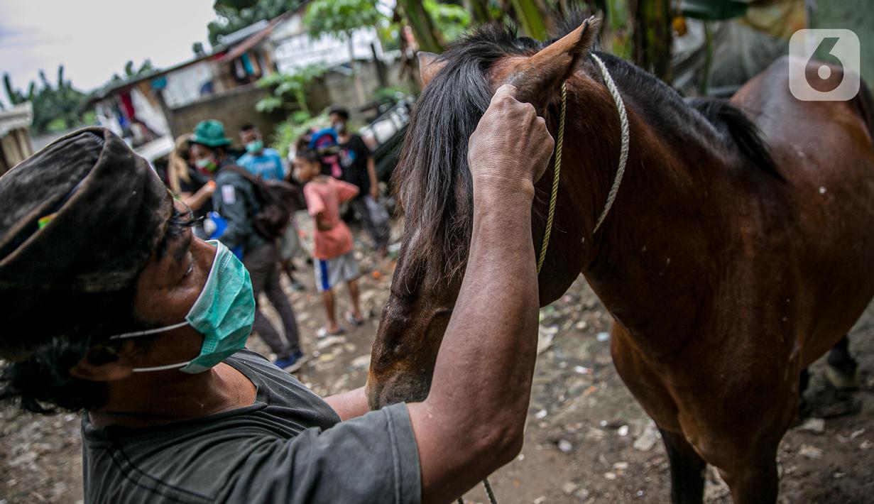 FOTO: Perawatan Kuda Pekerja di Masa Pandemi - Foto Liputan6.com