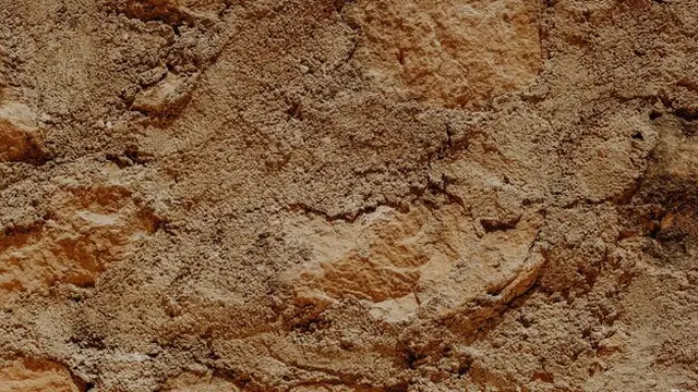 10 Contoh Bahan Lunak Alam yang Perlu Diketahui - Ragam Bola.com