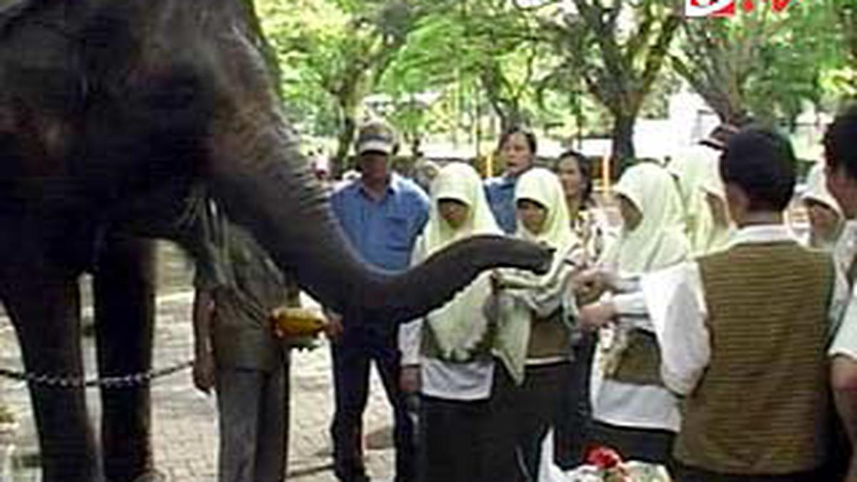 KBS Dapat Bantuan Satu Ton Sayur dan Buah - News Liputan6.com
