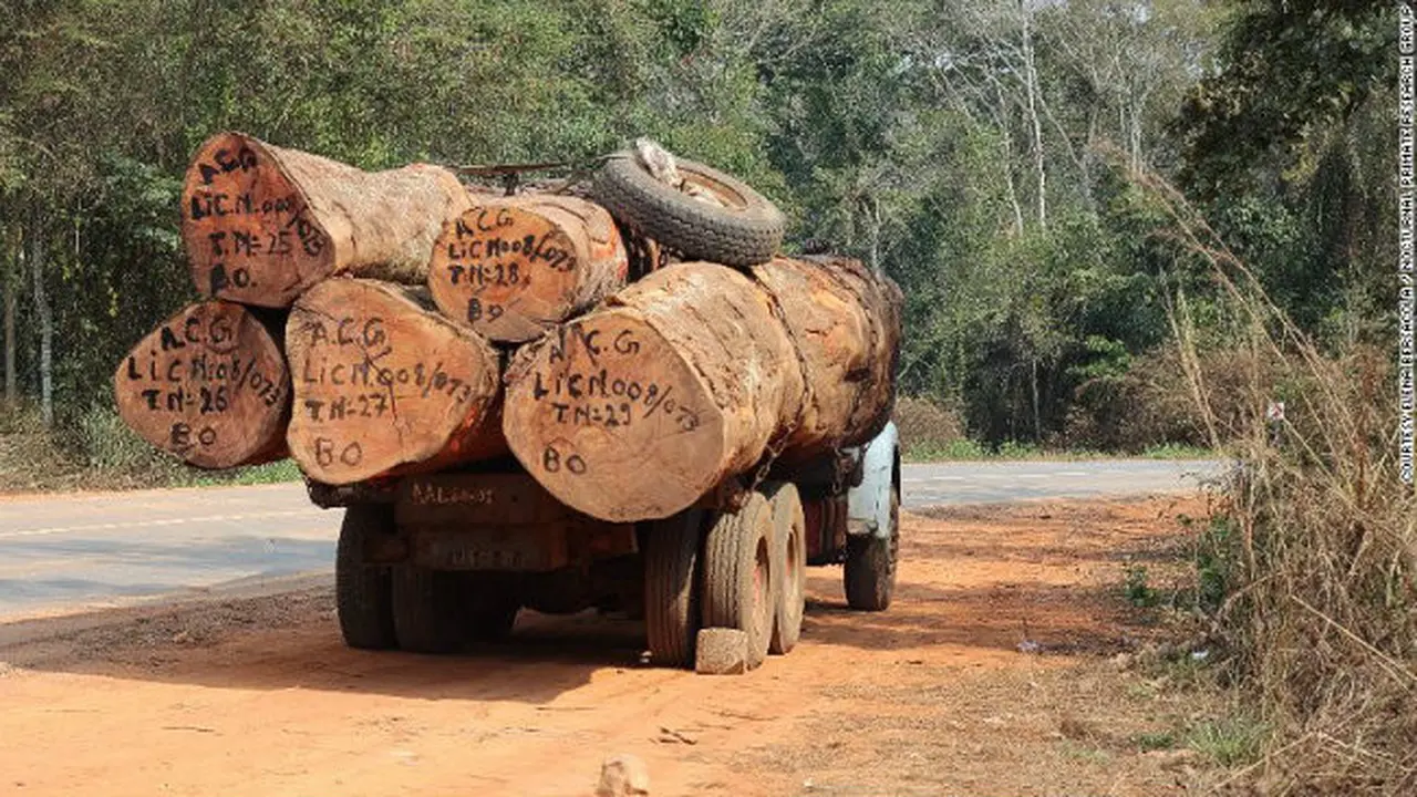 6 Fakta Menarik Angola, Salah Satu Negara Produsen Kopi Terbesar di ...