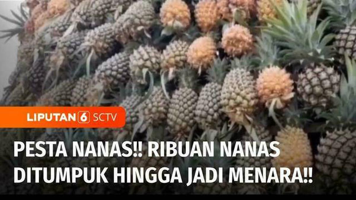 VIDEO: Meriahkan Hari Jadi Kecamatan Mekarsari, Pesta Buah Nanas pun Digelar! - TV Liputan6.com