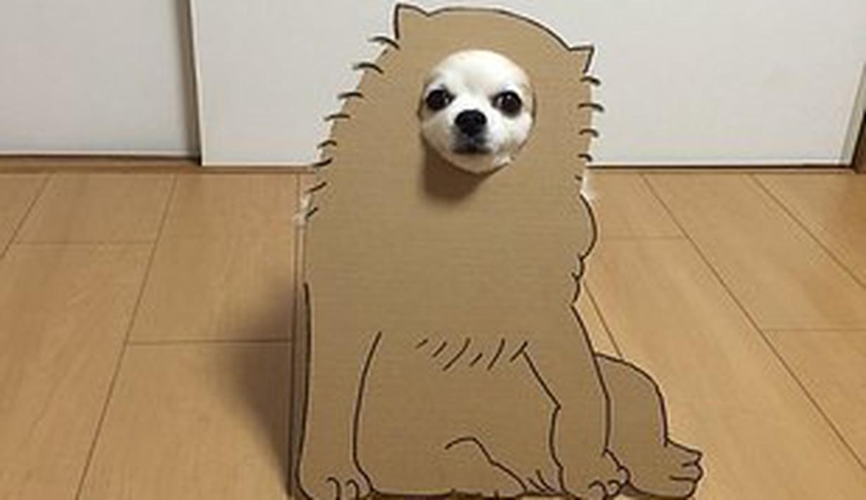 Terlihat Bahagia, Anjing Ini Dibuatkan Beragam Topeng Kardus Lucu ...