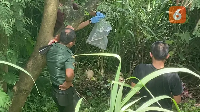 Geger Penemuan Tengkorak dan Kerangka Manusia di Baros Kota Sukabumi - Regional Liputan6.com