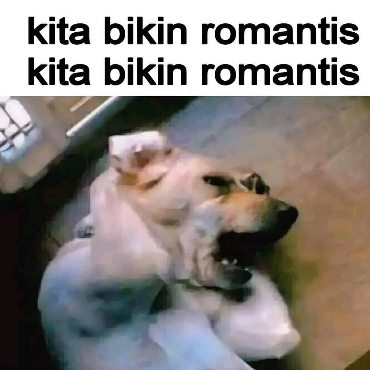 6 Meme Lagu 'Kita Bikin Romantis' Ini Kocak, Terngiang-ngiang di ...