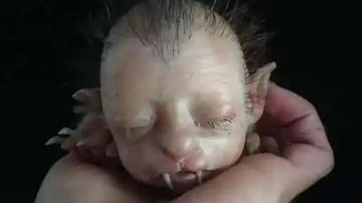 Geger Temuan Manusia Kucing Di Malaysia Ternyata Citizen Liputan Com