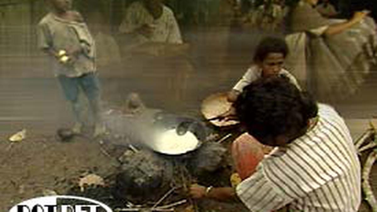 Kesahajaan Hidup Orang Boti - News Liputan6.com