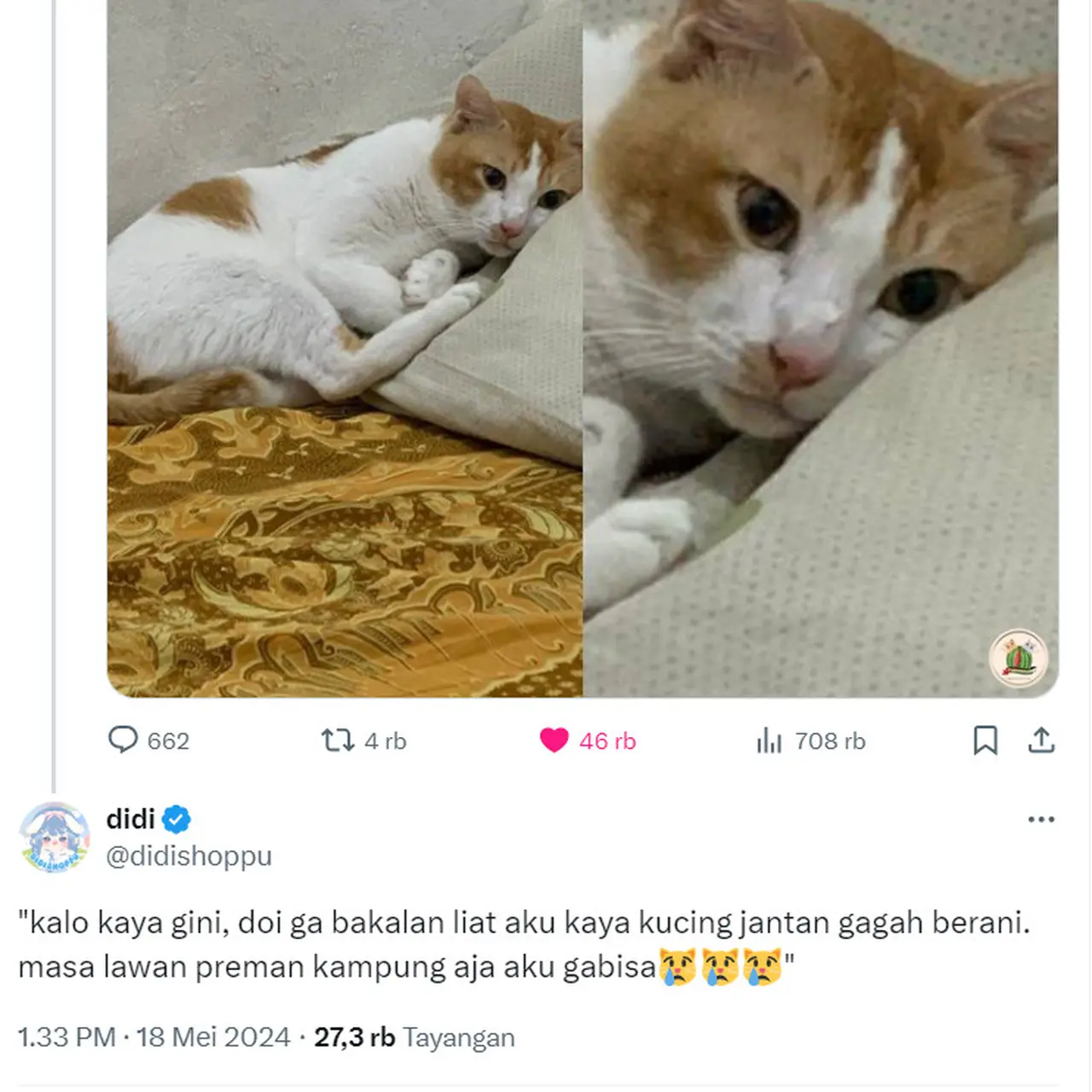 6 Kreativitas Netizen Bikin Dialog dari Foto Kucing Melamun Ini Kocak ...