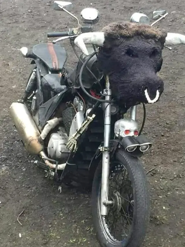 6 Modifikasi Motor Tema Hewan Bertanduk Ini Nyentrik Banget - Hot ...