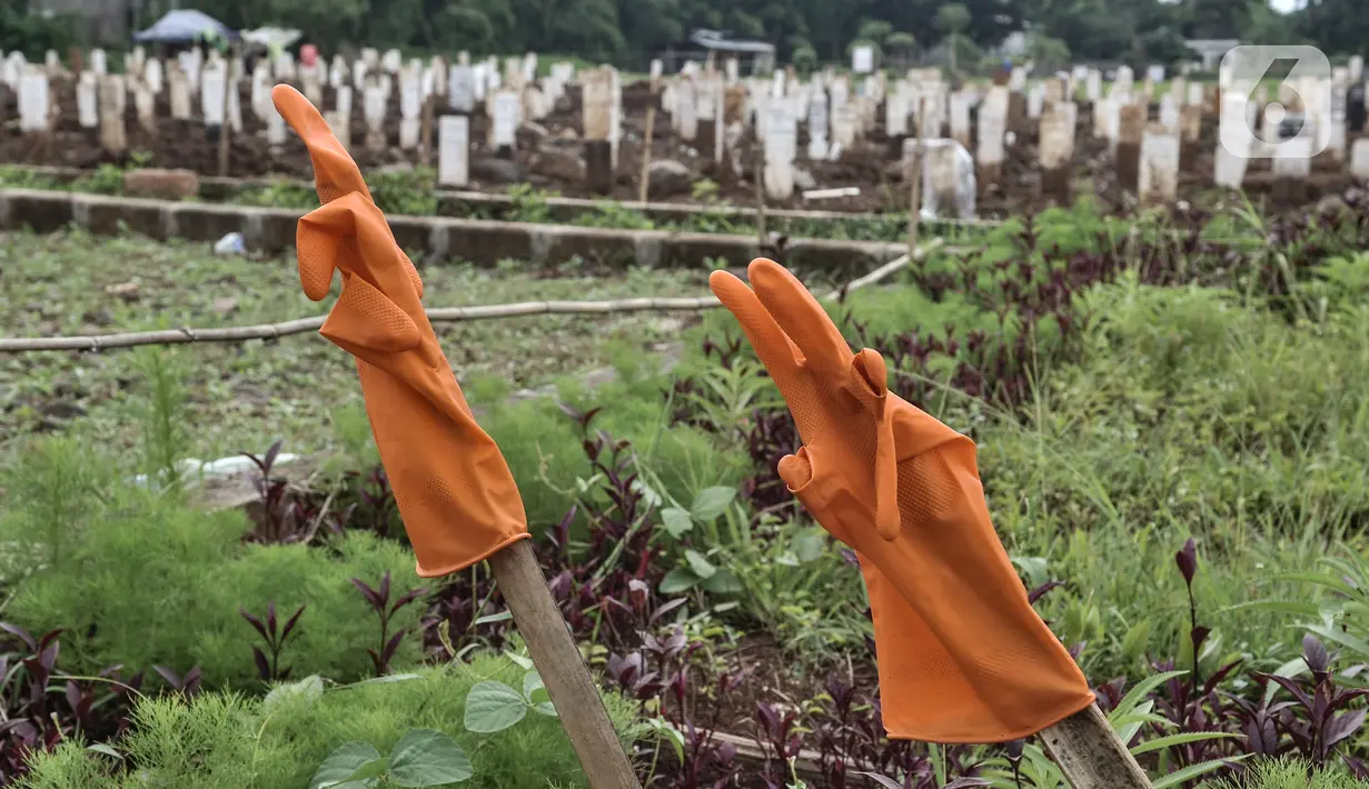 FOTO: Lahan Makam Covid-19 di TPU Bambu Apus Penuh - Foto Liputan6.com