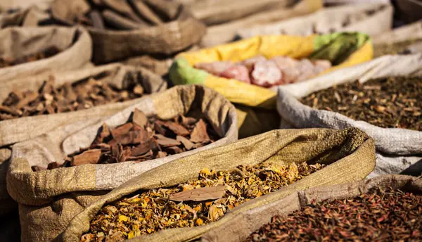 Sepeda Motor Dilarang Masuk IKN, GoFood Diantar Pakai Micromobility ...