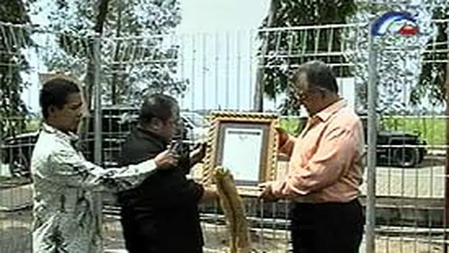 Bunga Bangkai Medan Dicatat Muri - News Liputan6.com