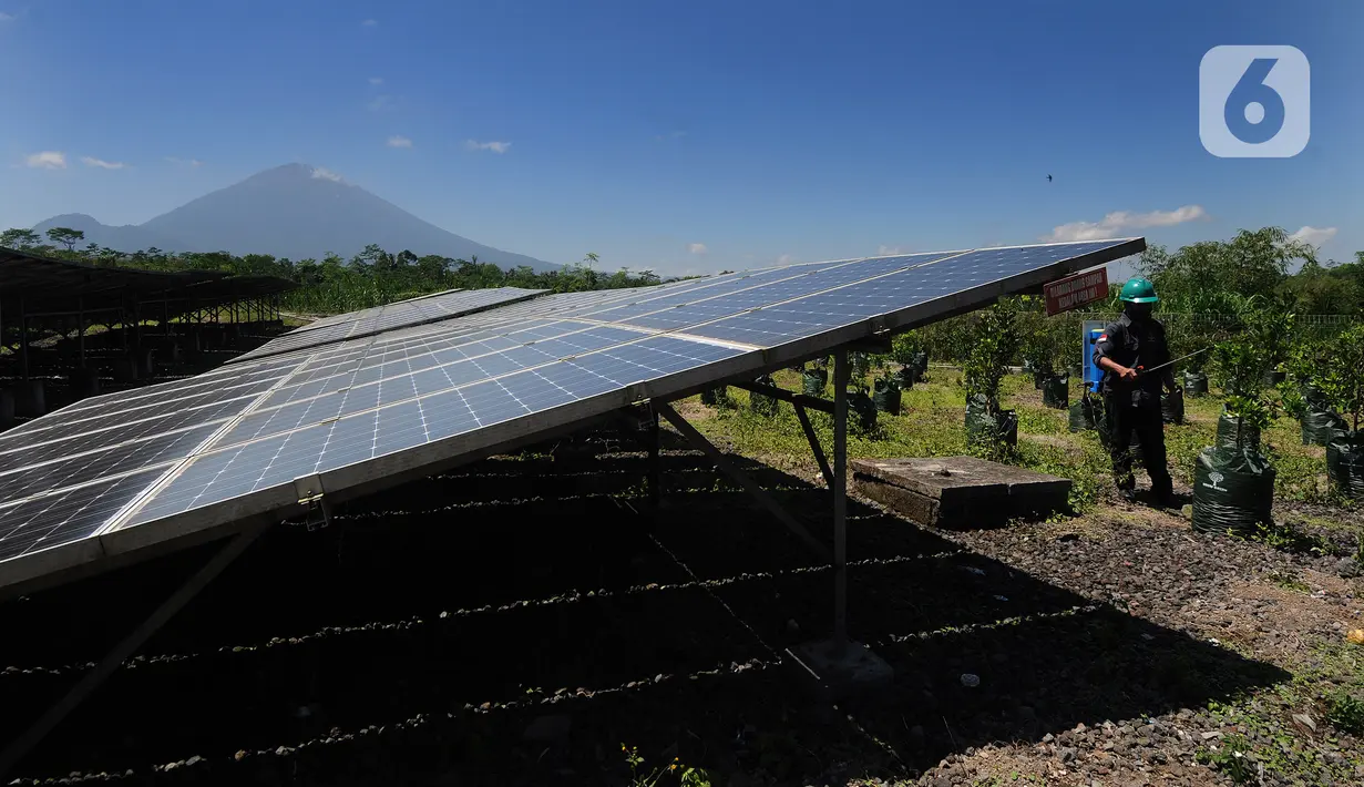 FOTO: PLTS 1 MWp Bangli Kembangkan Sistem Pertanian Tenaga Surya - Foto ...