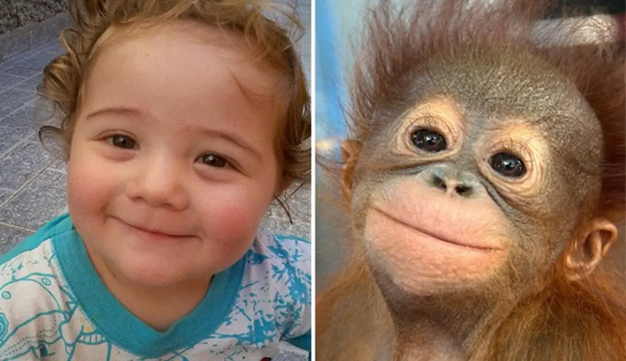 Ekspresi Hewan Seperti Anak Yang Cute Abis Bikin Senyum Merekah