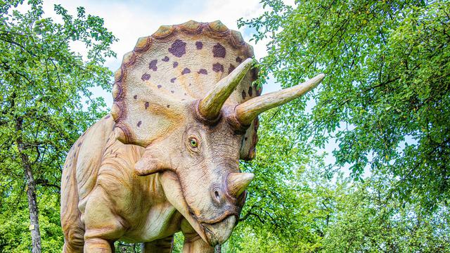 12 Macam Dinosaurus dan Namanya yang Populer, Menarik Dipelajari - Hot ...
