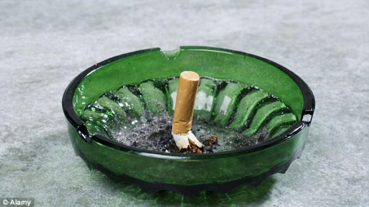 [Seri Rokok] Menguak Fakta dari Mitos Rokok - Health Liputan6.com