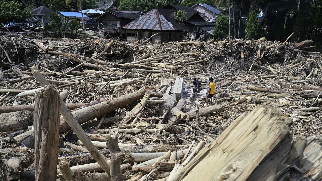 Kemenhut Segel 7 Perusahaan Serta Individu yang Diduga Merusak Hutan ...