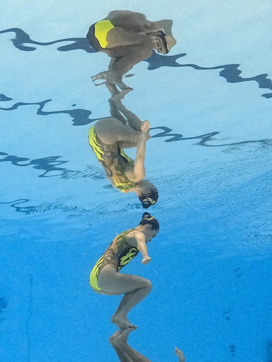 Aksi Para Perenang Ikuti Kejuaraan Dunia Akuatik 2023 di Jepang - Foto ...