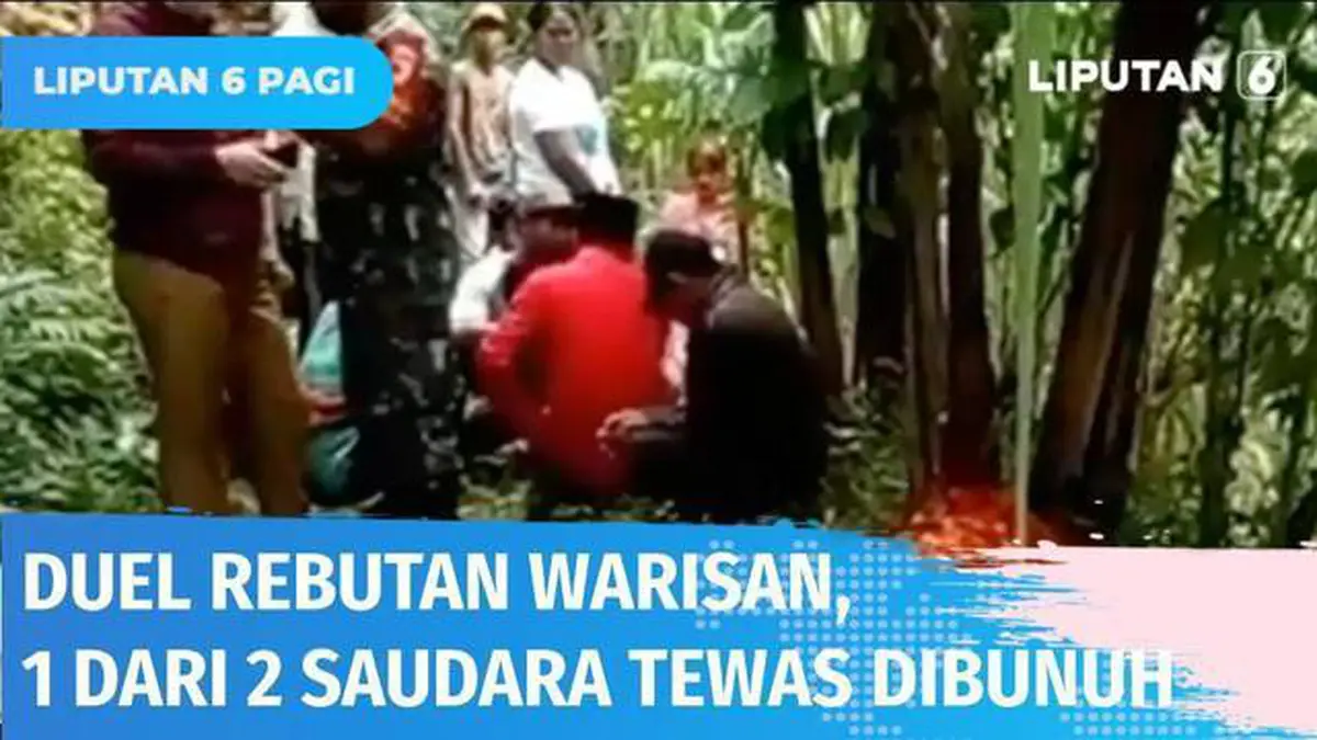Berita Dua Bersaudara Duel Hari Ini - Kabar Terbaru Terkini | Liputan6.com