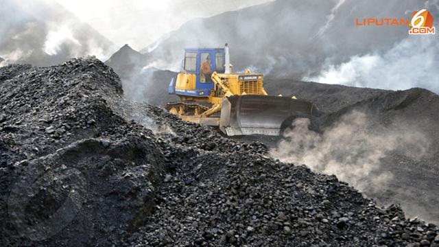 RI Jadi Negara Pengeruk Batu Bara Terbesar ke-3 Dunia - Bisnis Liputan6.com
