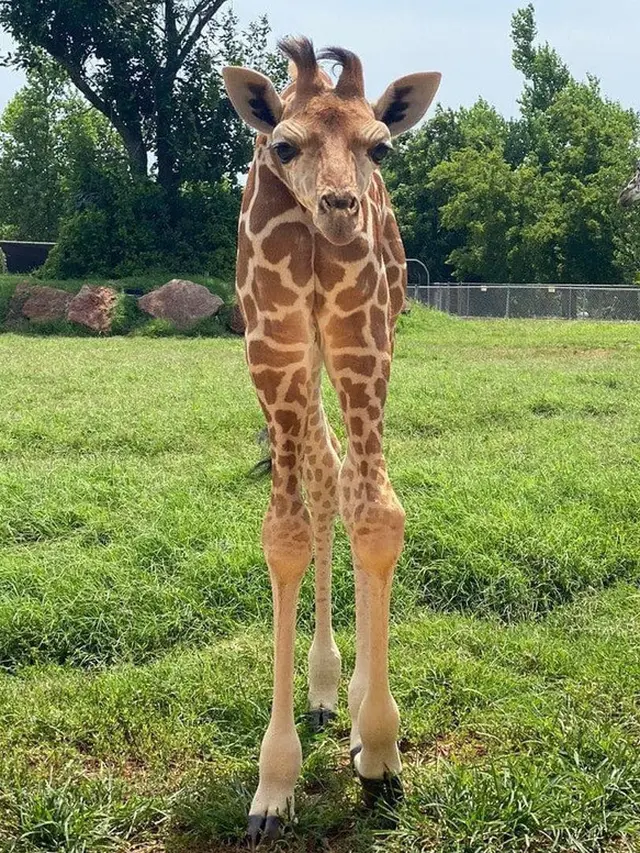 8 Momen Kebetulan yang Tertangkap Kamera Ini Bikin Mikir Dua Kali - Hot ...