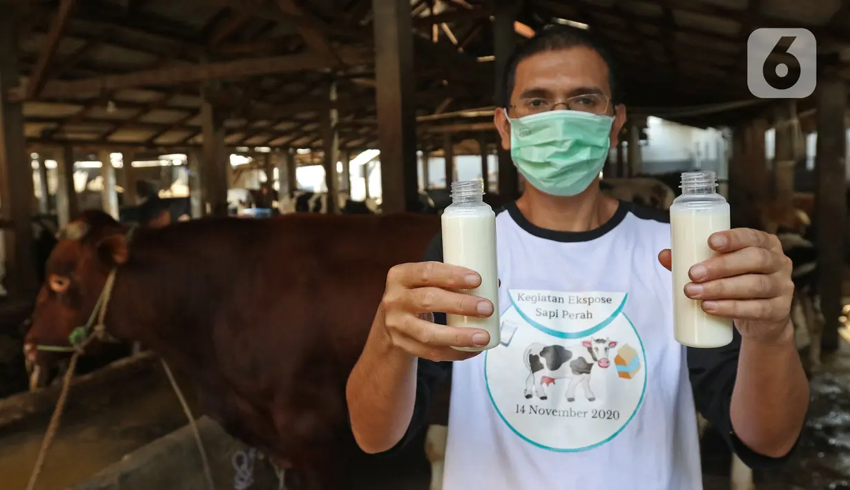 FOTO: Penerapan Inseminasi Buatan untuk Peningkatan Produksi Hewan Ternak - Foto Liputan6.com