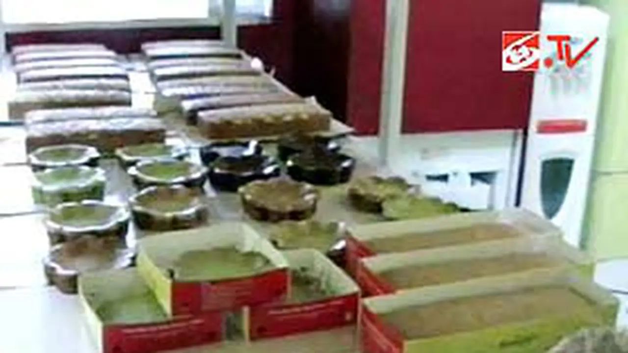 Bingka Bakar dan Bilis, Kue Kerajaan Melayu - News Liputan6.com