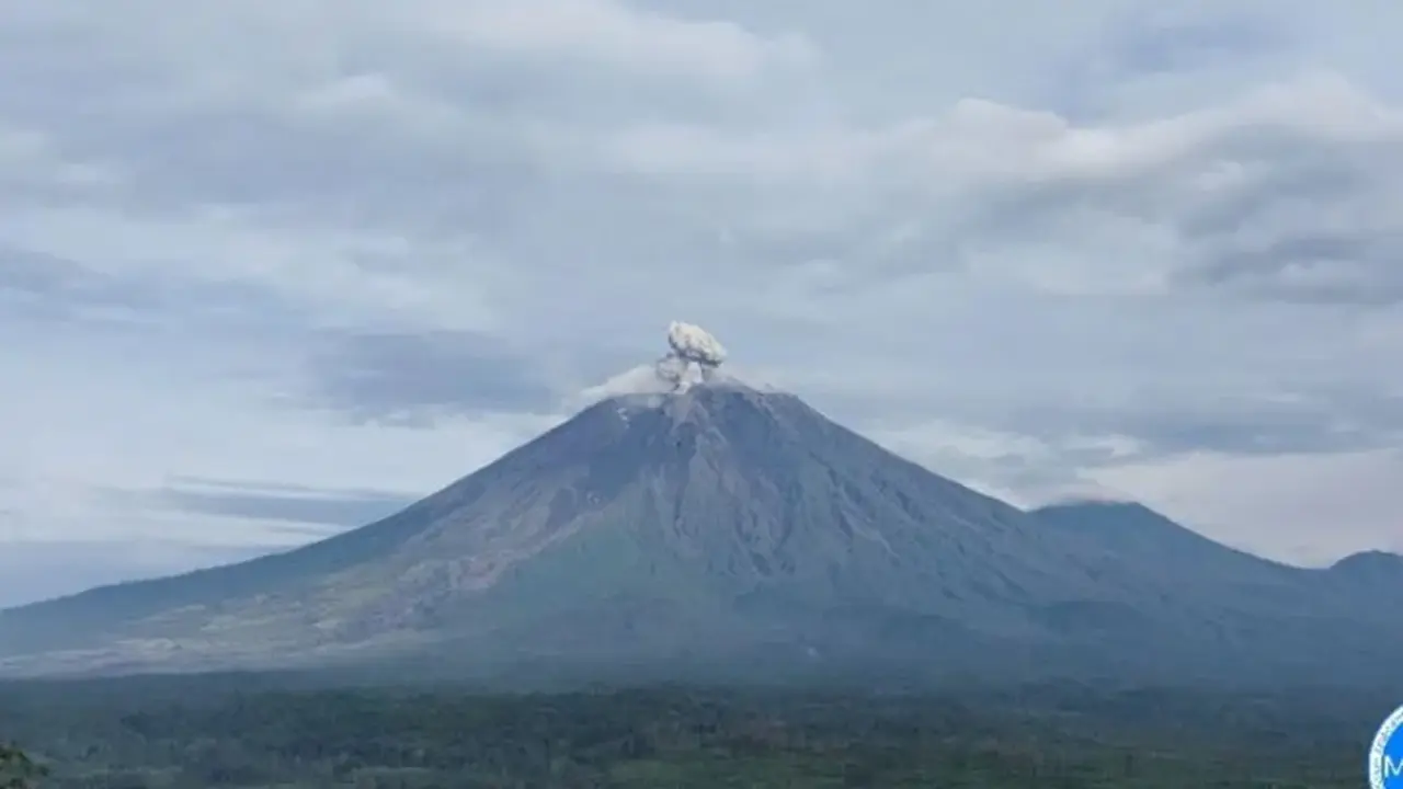 Gunung Semeru Erupsi 4 Kali, Semburkan Abu Vulkanik hingga 800 Meter - News Liputan6.com