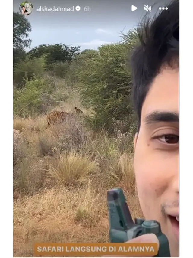 Usai Liburan di Jepang, Ini 6 Potret Alshad Ahmad yang Asyik Safari di ...