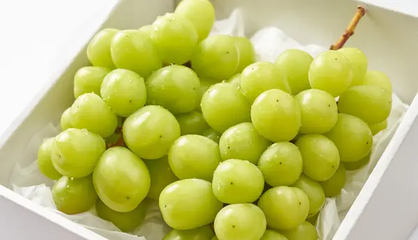 5 Resep Sayur Lombok Ijo Ndeso, Kelezatan Sederhana dari Dapur Pedesaan ...