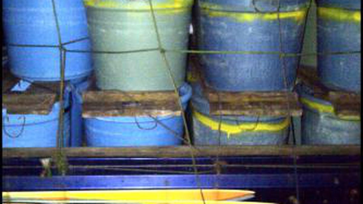 Ribuan Tahu Berformalin Diamankan BPOM