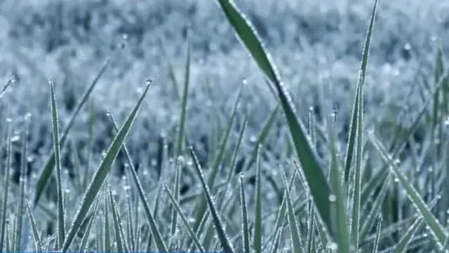 Embun Upas Muncul Lagi di Dieng, Pengunjung Bisa Merasakan Hawa Negara ...
