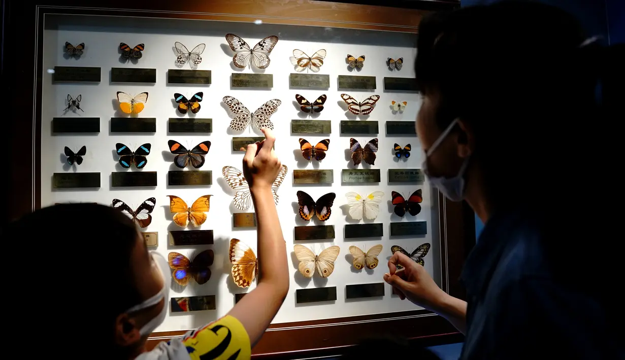 FOTO: Mengunjungi Museum Entomologi Shanghai - Foto Liputan6.com