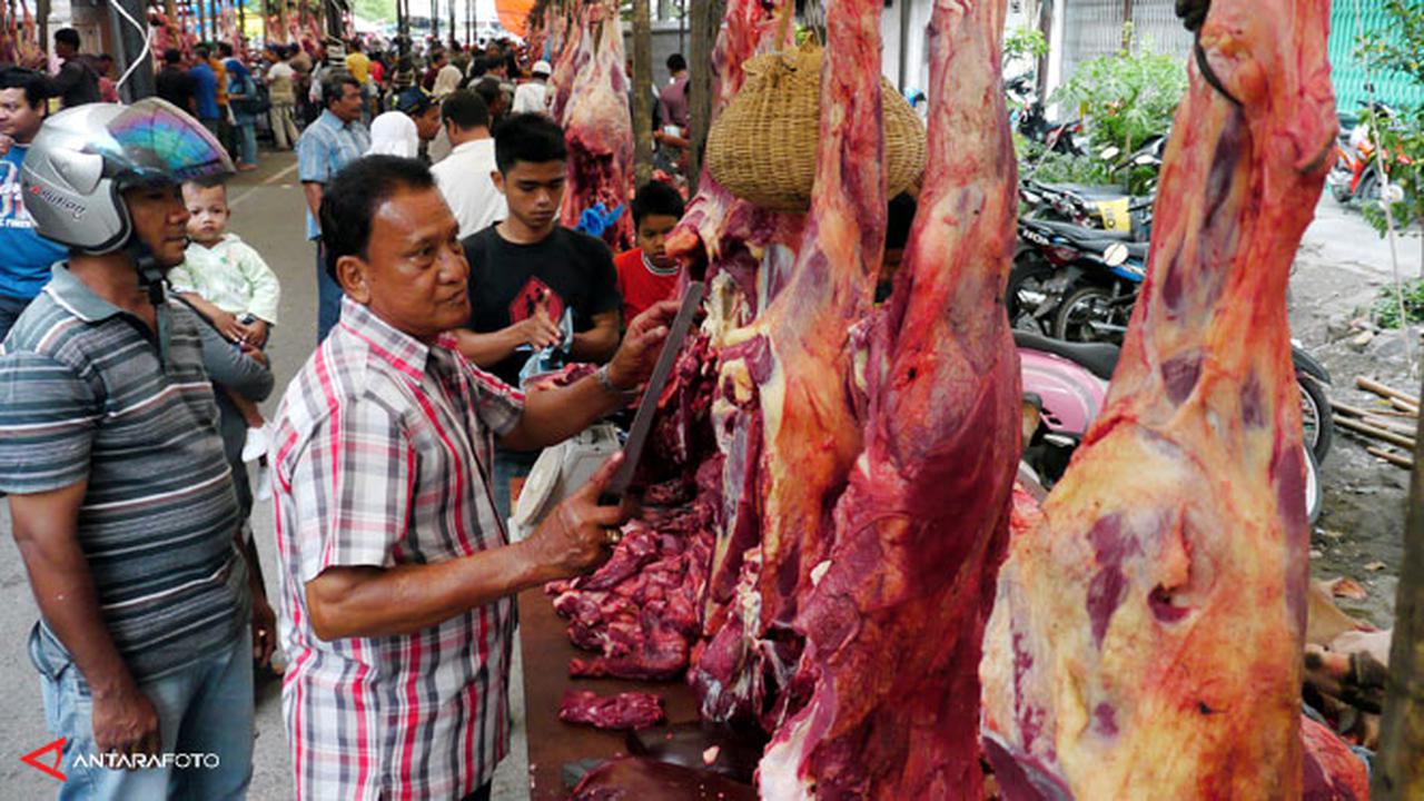 Harga Daging Bulog Mahal Karena Dijual melalui Pedagang