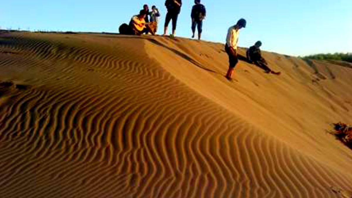 5 Wisata Padang Pasir di Indonesia, Enggak Kalah Indah Sama Gurun ...