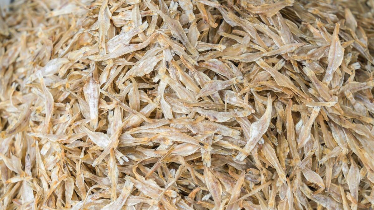 10 Manfaat Teri Nasi bagi Kesehatan Tubuh, Kaya Omega 3 dan Zat Besi