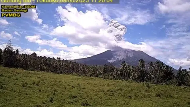 Gunung Ibu Erupsi, Tinggi Letusan Mencapai 1.000 Meter di Atas Puncak - Regional Liputan6.com