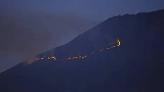 Hutan Gunung Sumbing Kembali Terbakar - Regional Liputan6.com