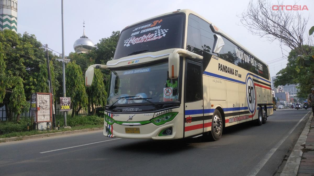 11 Potret Bus Malam yang Ditempeli Livery Mencolok, Konsepnya Lebih ...
