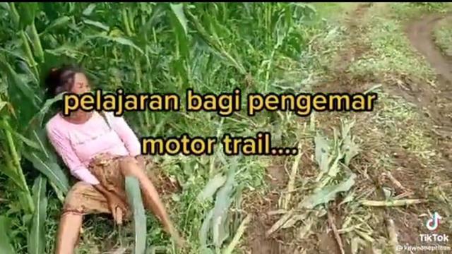 Diduga Ulah Pengendara Motor Trail, Nenek Ini Histeris Kebun Jagungnya ...