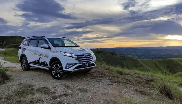 Bukan Sekadar Karya Seni, Ini Ragam dan Makna Ukiran Gorga Suku Batak ...