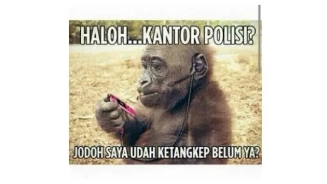 6 Meme Jodoh Enggak Bakal Kemana Ini Bikin Senyum Tipis, Sabar Menanti ...