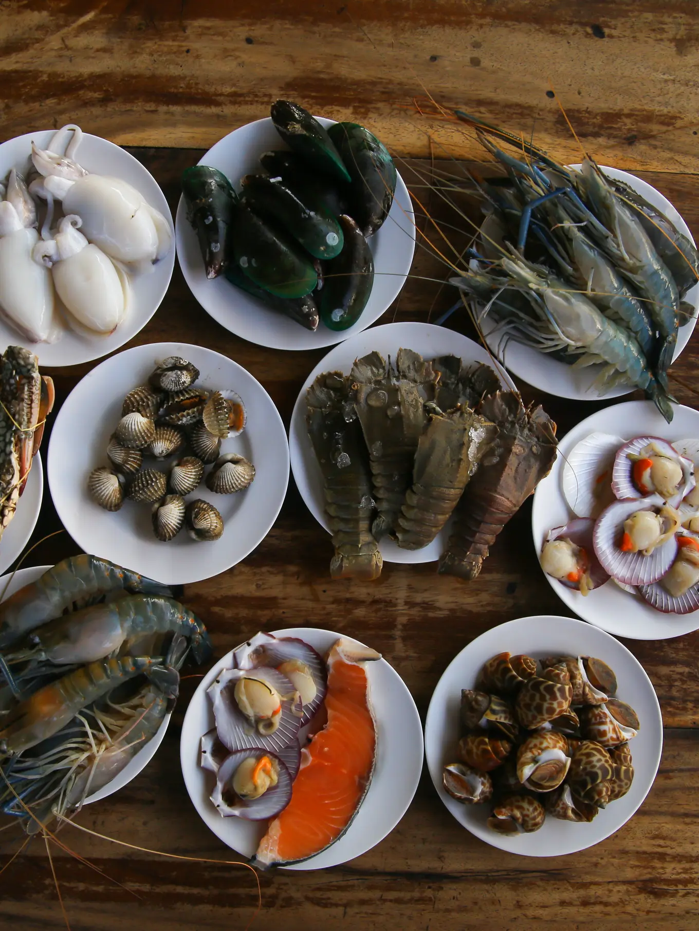 Mengenal 10 Jenis Kerang yang Bisa Dikonsumsi