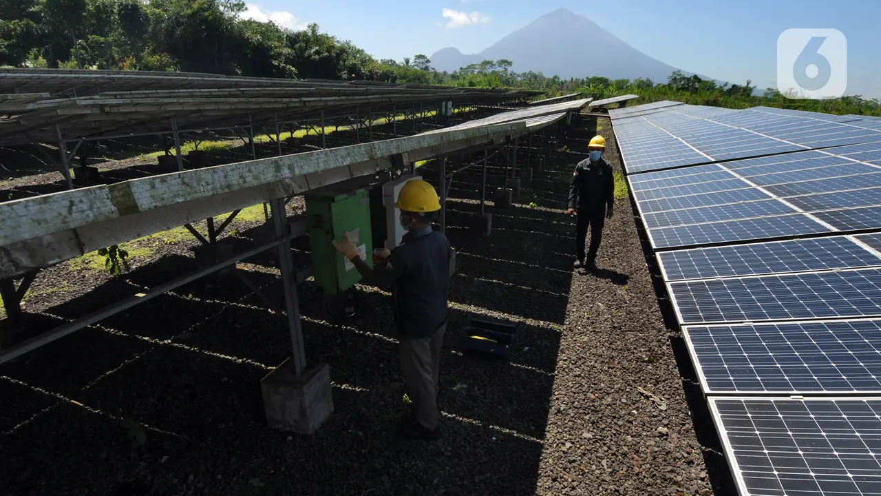 Pabrik Solar Panel Terbesar di Indonesia Beroperasi - Bisnis Liputan6.com