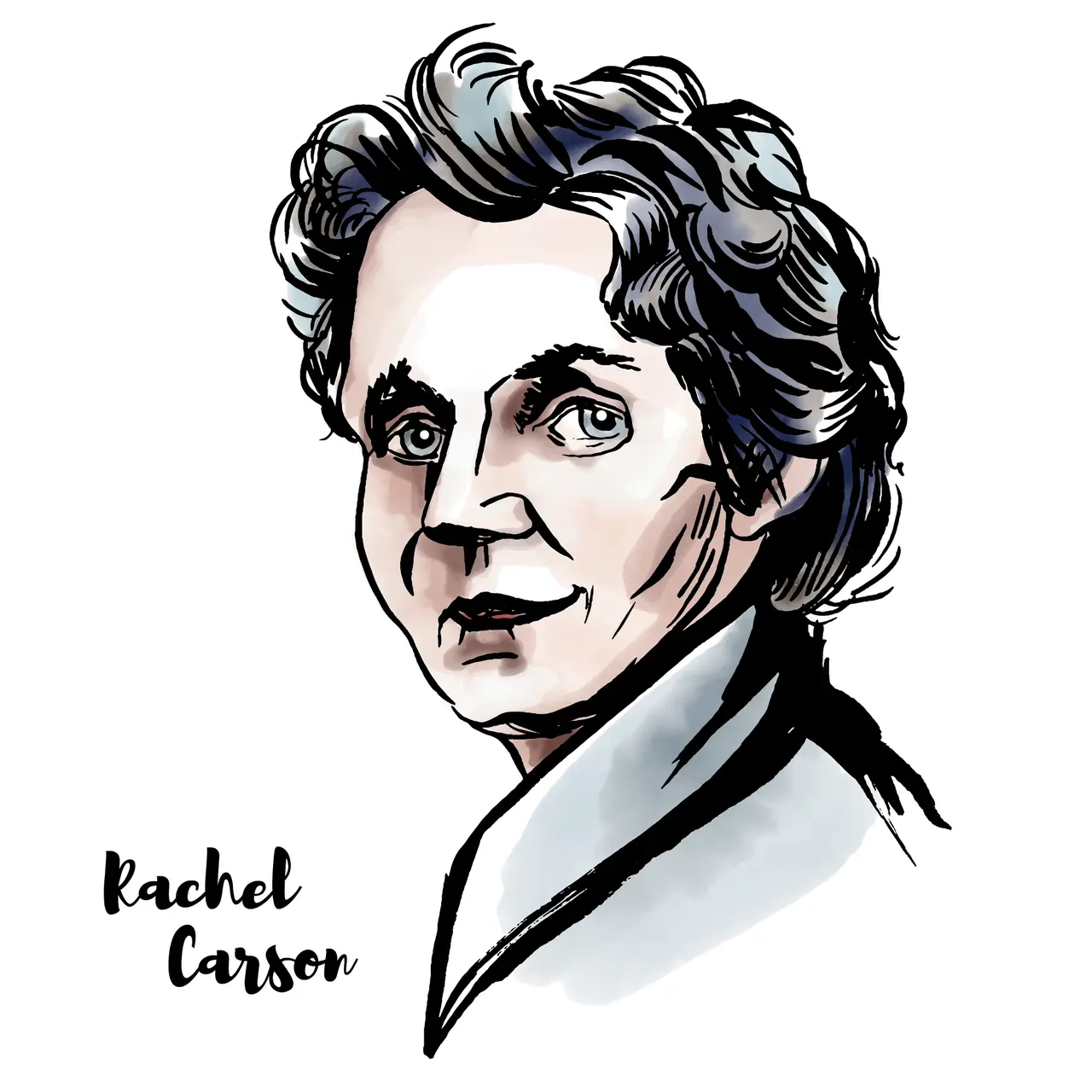 Rachel Louise Carson: Perempuan Inspiratif Pionir Gerakan Lingkungan ...