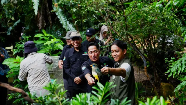 Kunjungi Aviary Milik Irfan Hakim, Menhut: Tak Perlu Jadi Pejabat untuk ...